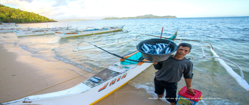 Prioritizing artisanal fishers' conditions crucial to sustainable ...